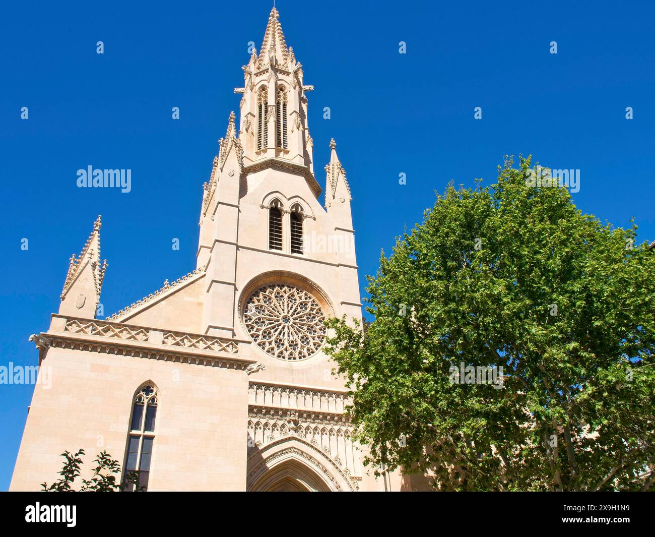 Large church tower with detailed decorations, next to it a tree, under ...