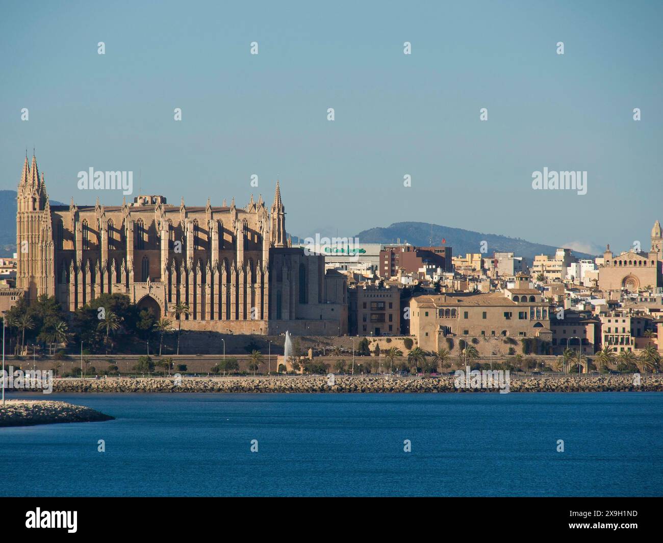 Large cathedral on the coast with surrounding city buildings, palma de ...