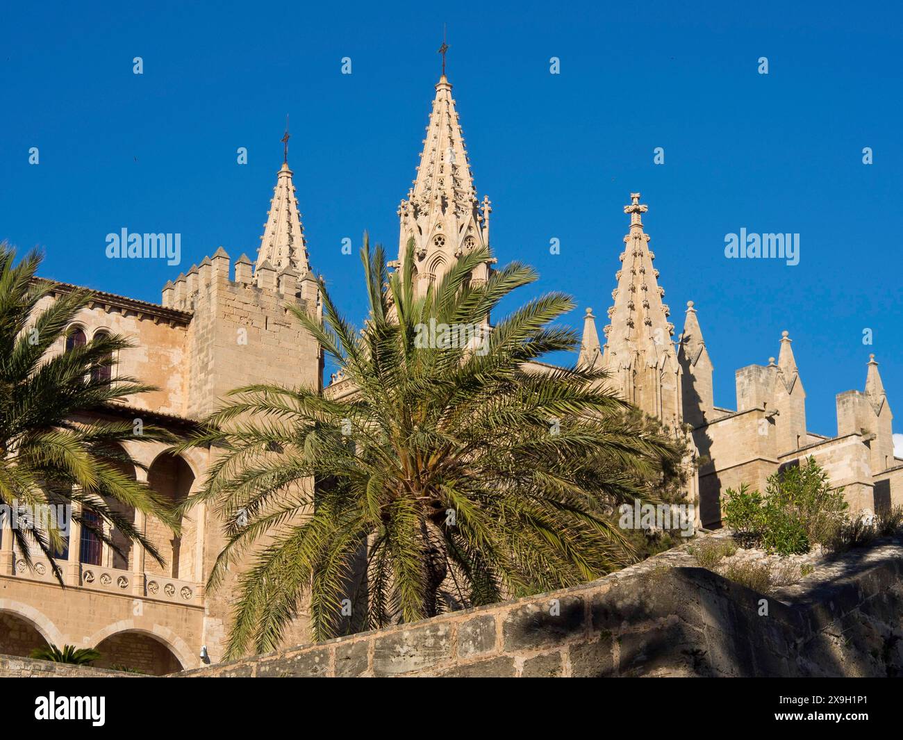 Historic cathedral with striking towers and palm trees in the ...