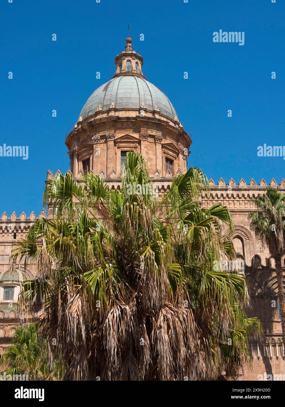 Cathedral with a large dome and palm trees in front of it under a blue ...