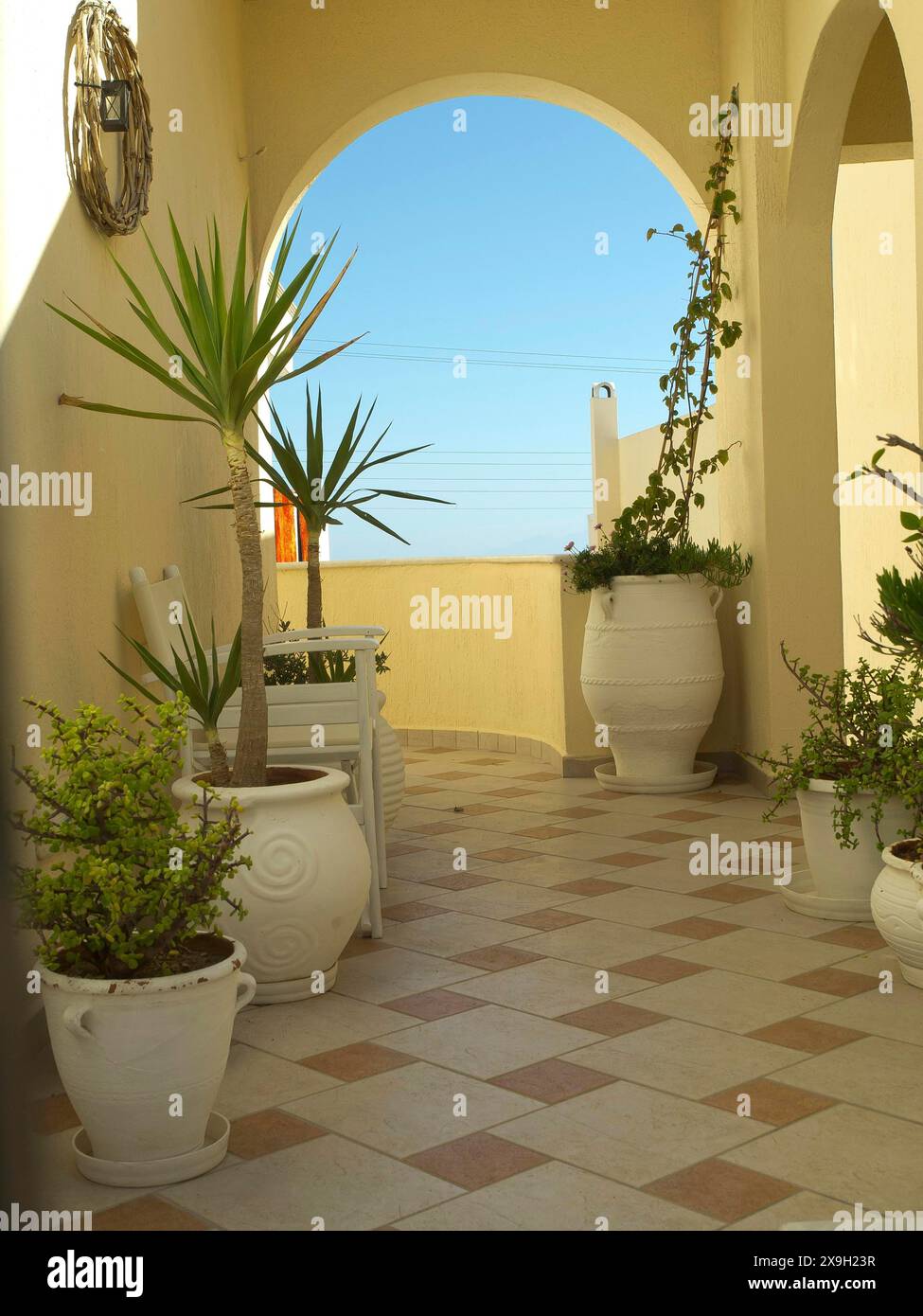A Mediterranean terrace with many plants and white pots under a blue ...