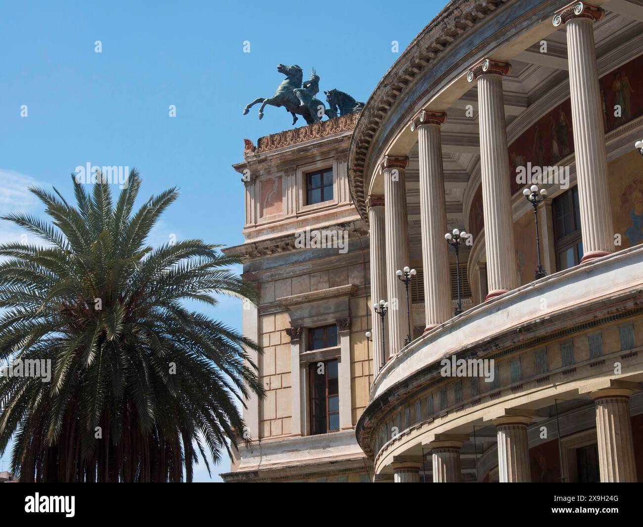 A huge palm tree next to a magnificent historic building with columns ...