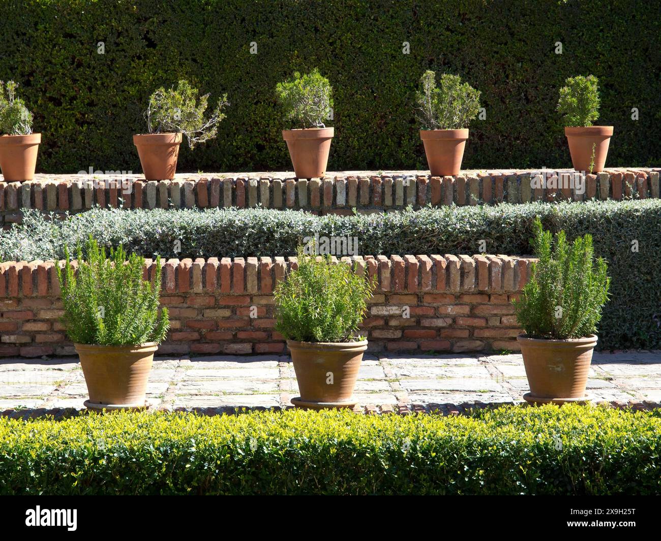 Terracotta pots with green plants on a stepped wall, surrounded by a ...