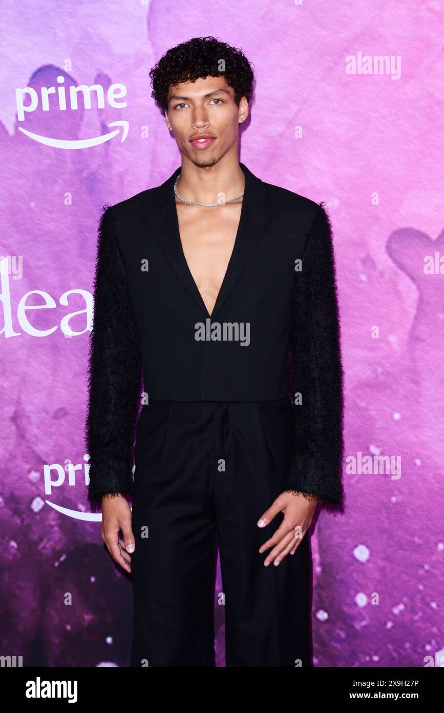 Prime Video's The Idea of You Premiere held in in New York City, United ...