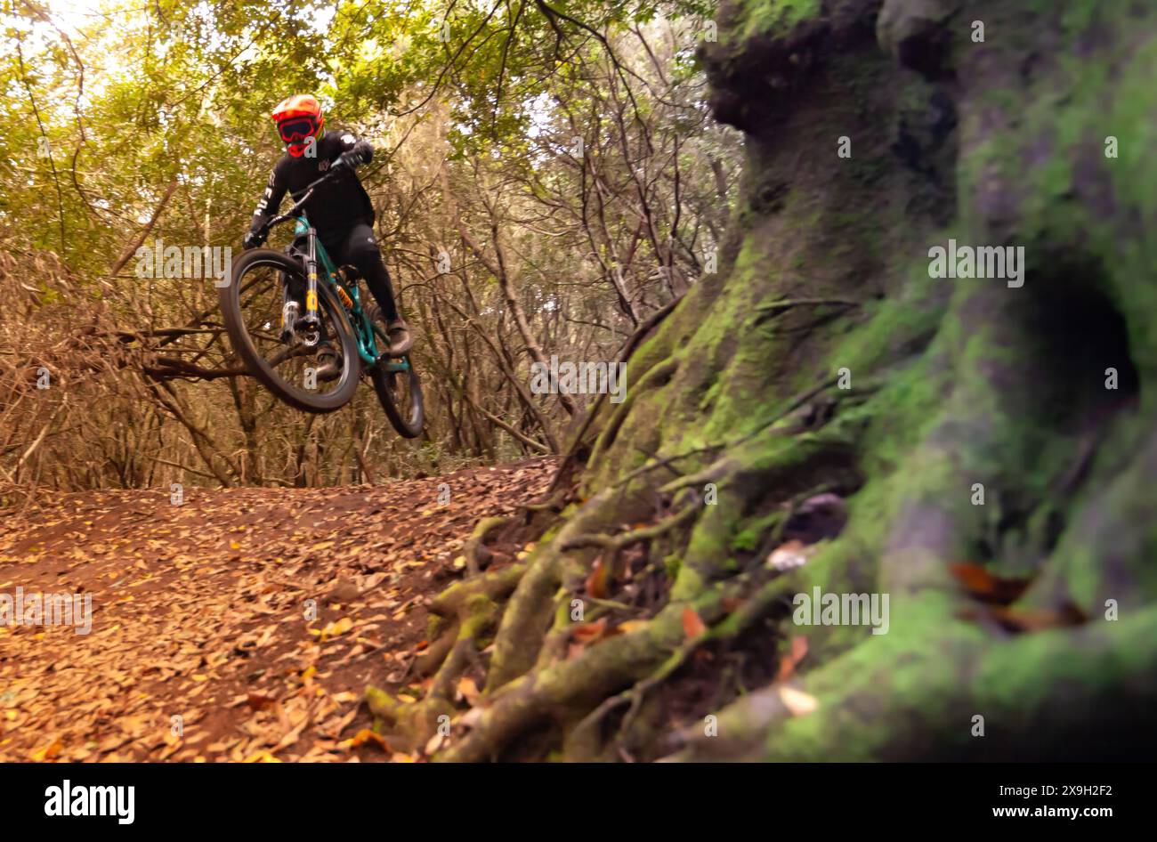 Gravity mtb hi-res stock photography and images - Alamy