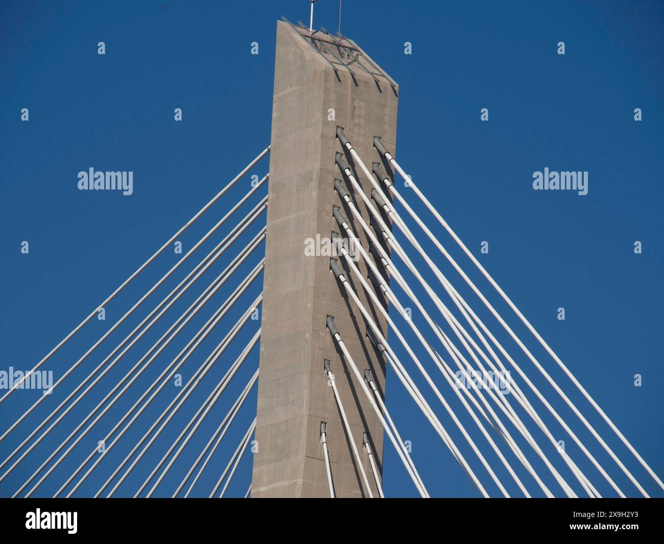Modern cable-stayed bridge with a high concrete tower and numerous ...