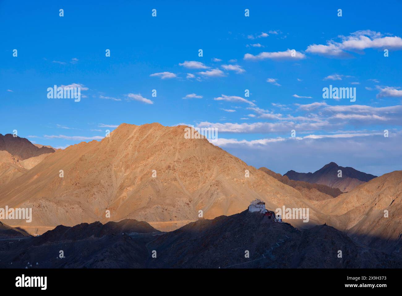 The Namgyal Tsemo Gompa monastery on Tsenmo Hill, a viewpoint over Leh ...