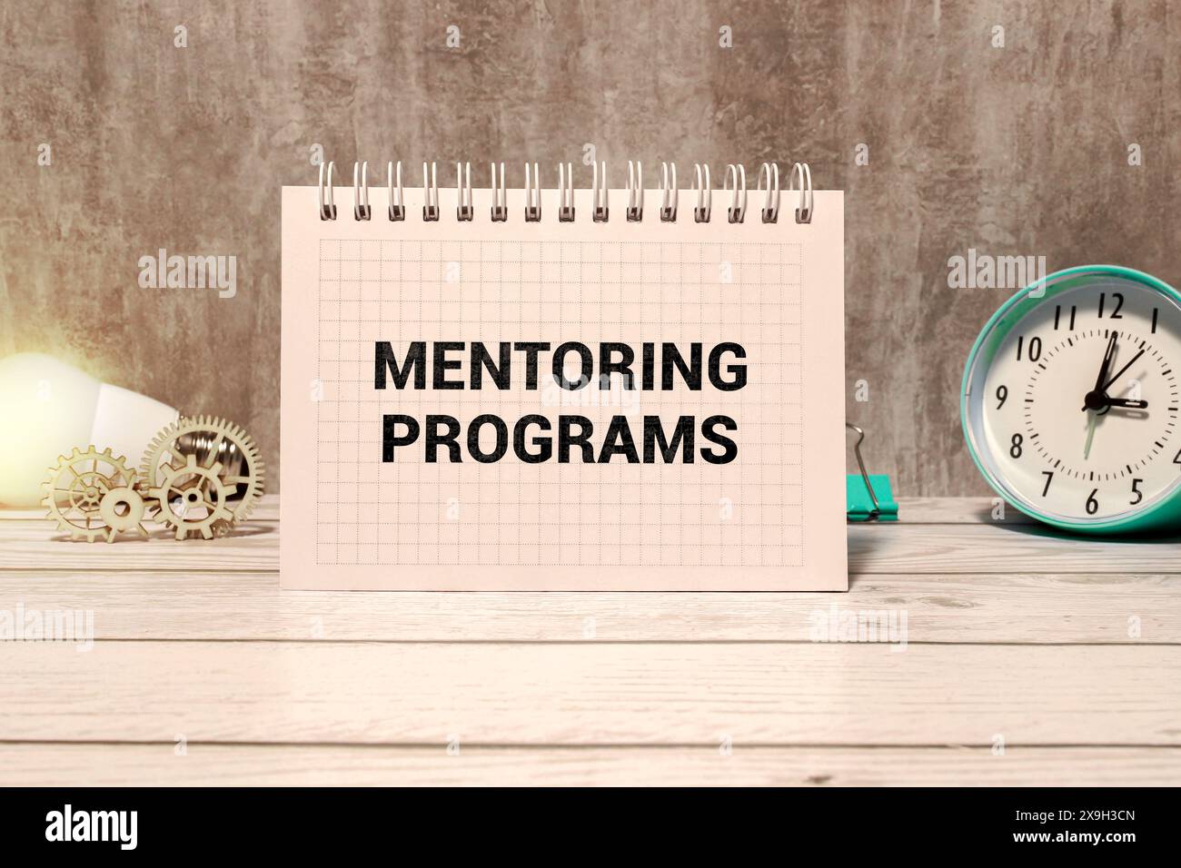 Speech bubble with the text Mentoring programs on office desk Stock ...