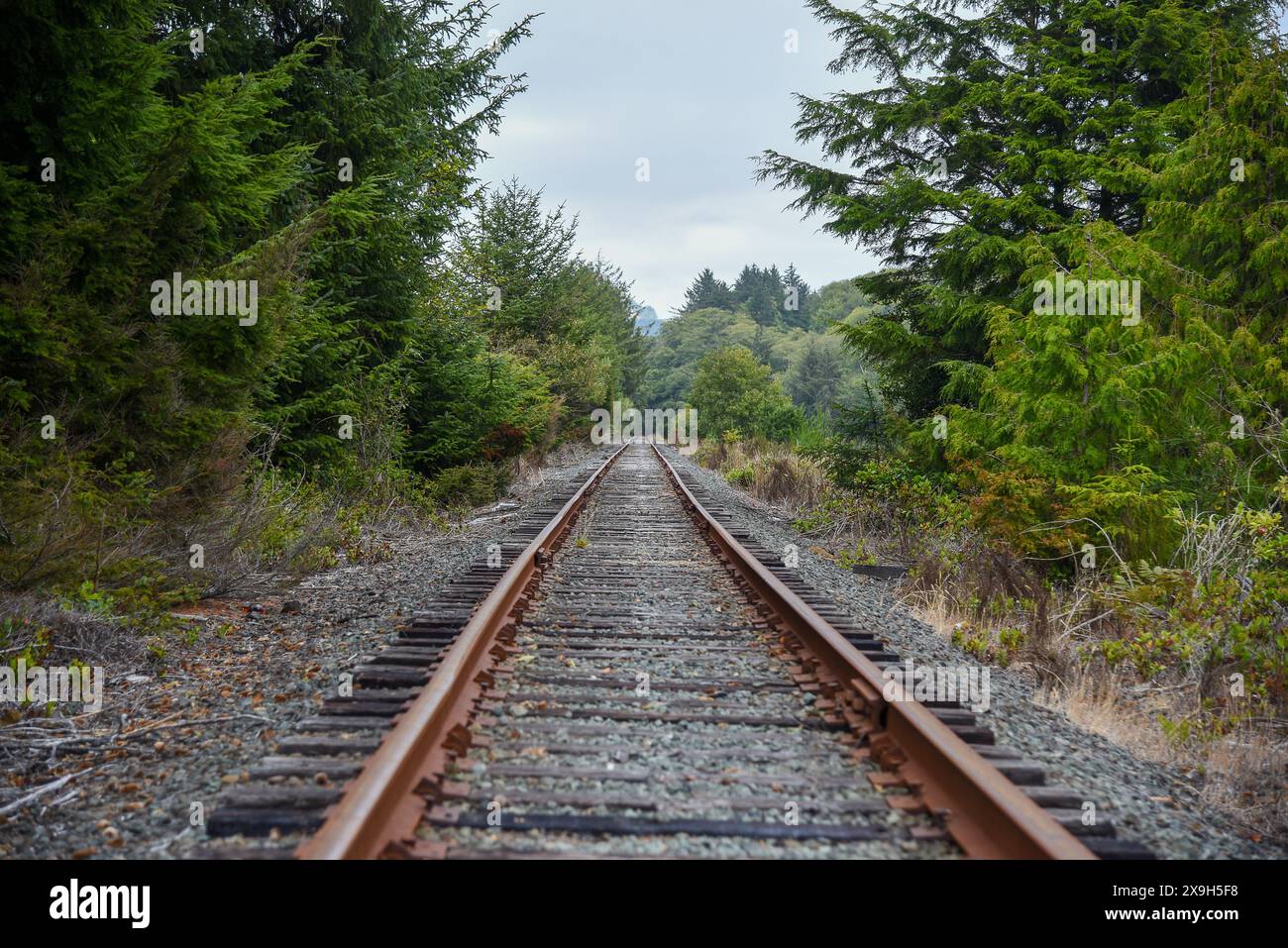 Railroad tracks vanishing point hi-res stock photography and images - Alamy