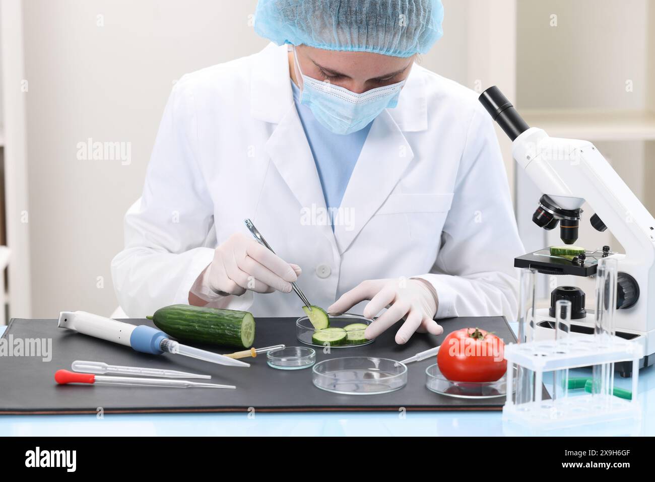 Quality control. Food inspector examining cucumber in laboratory Stock ...