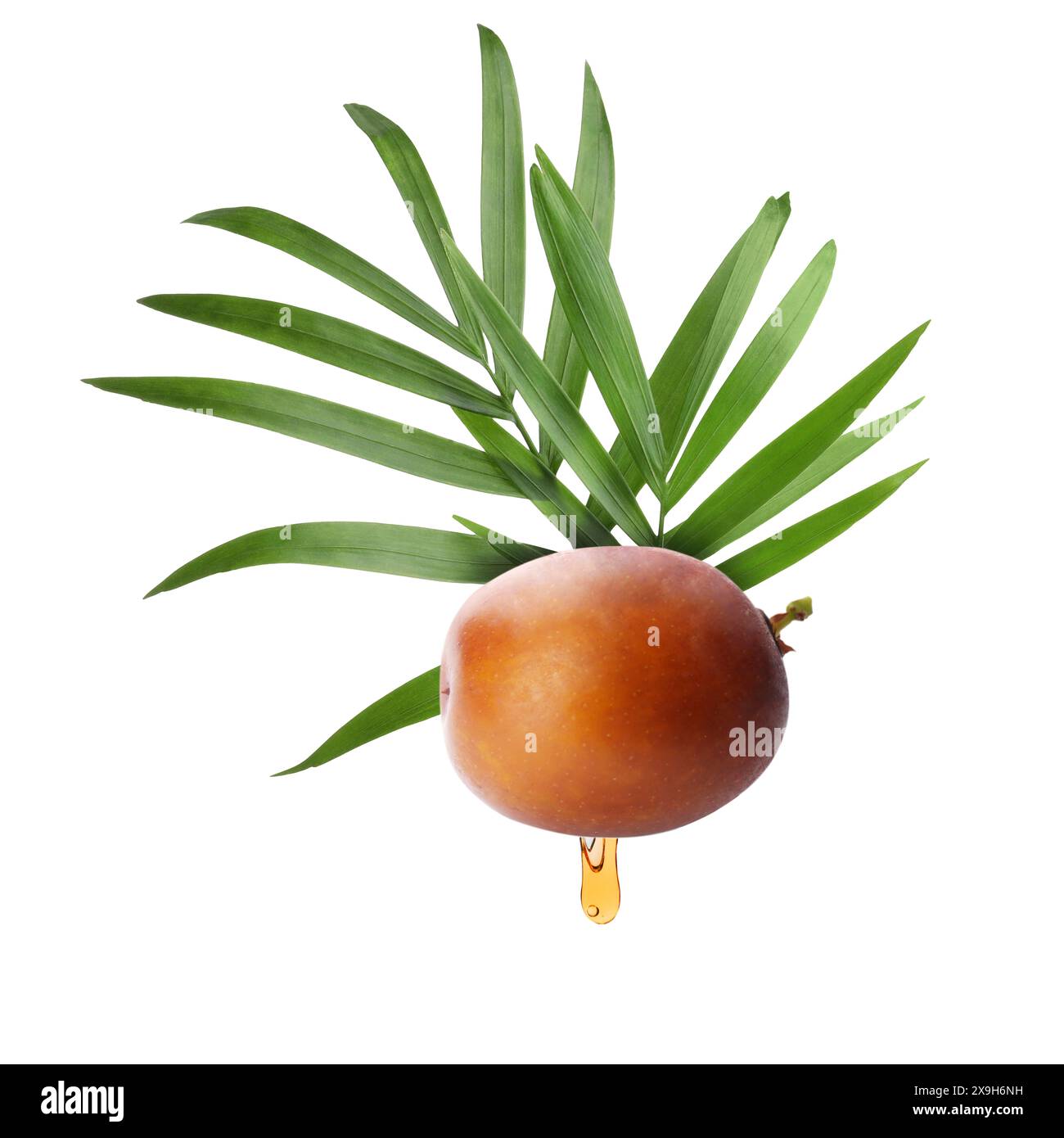 Oil dripping from palm fruit on white background Stock Photo - Alamy