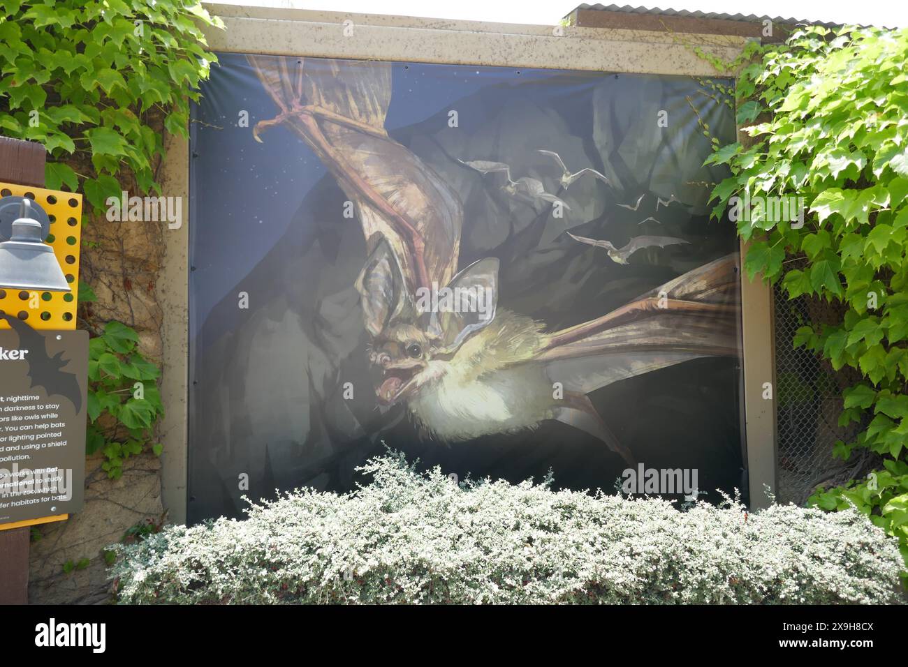 Los Angeles, California, USA 28th May 2024 Bat Mural at LA Zoo on May ...