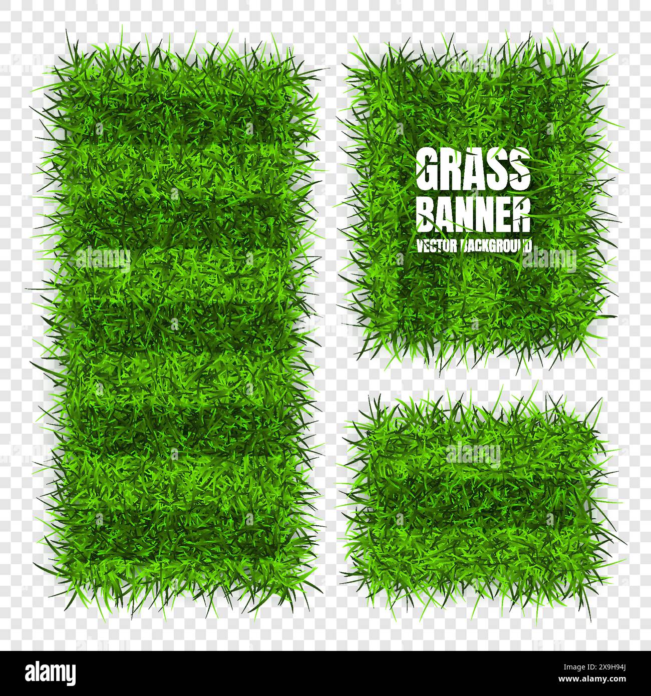 Green grass banners, background. Field, meadow texture, grassy ...