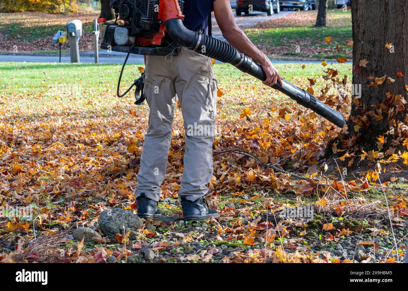 Worker uses tools to blow leaves into piles for removal Stock Photo - Alamy