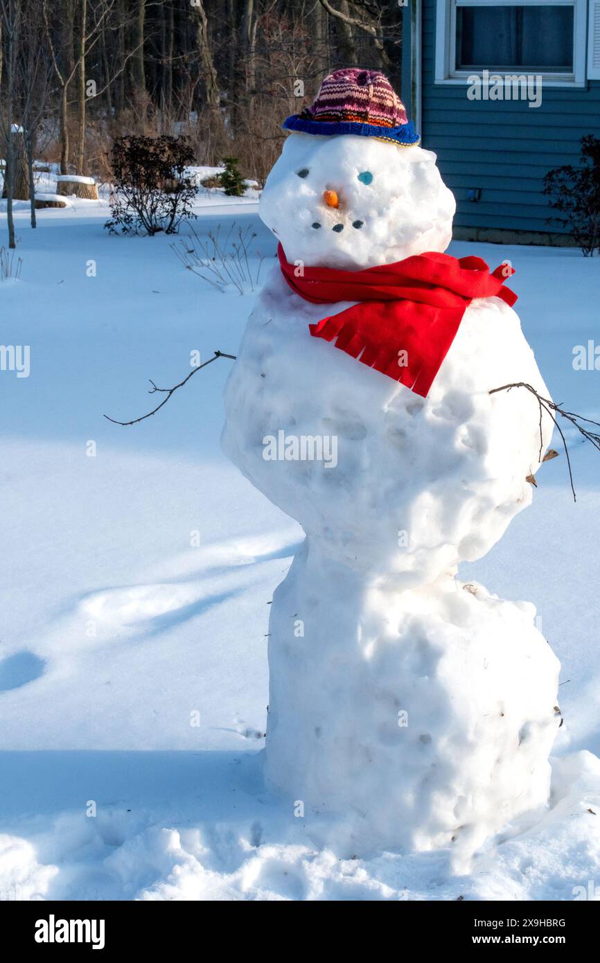 Snowman in yard hi-res stock photography and images - Alamy