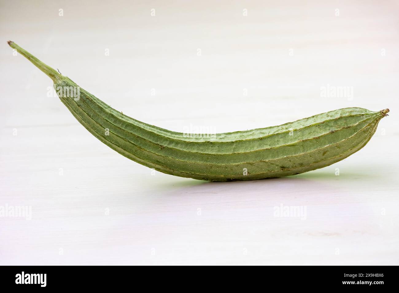 A single angled luffa gourd on a light wooden surface. It is also known ...