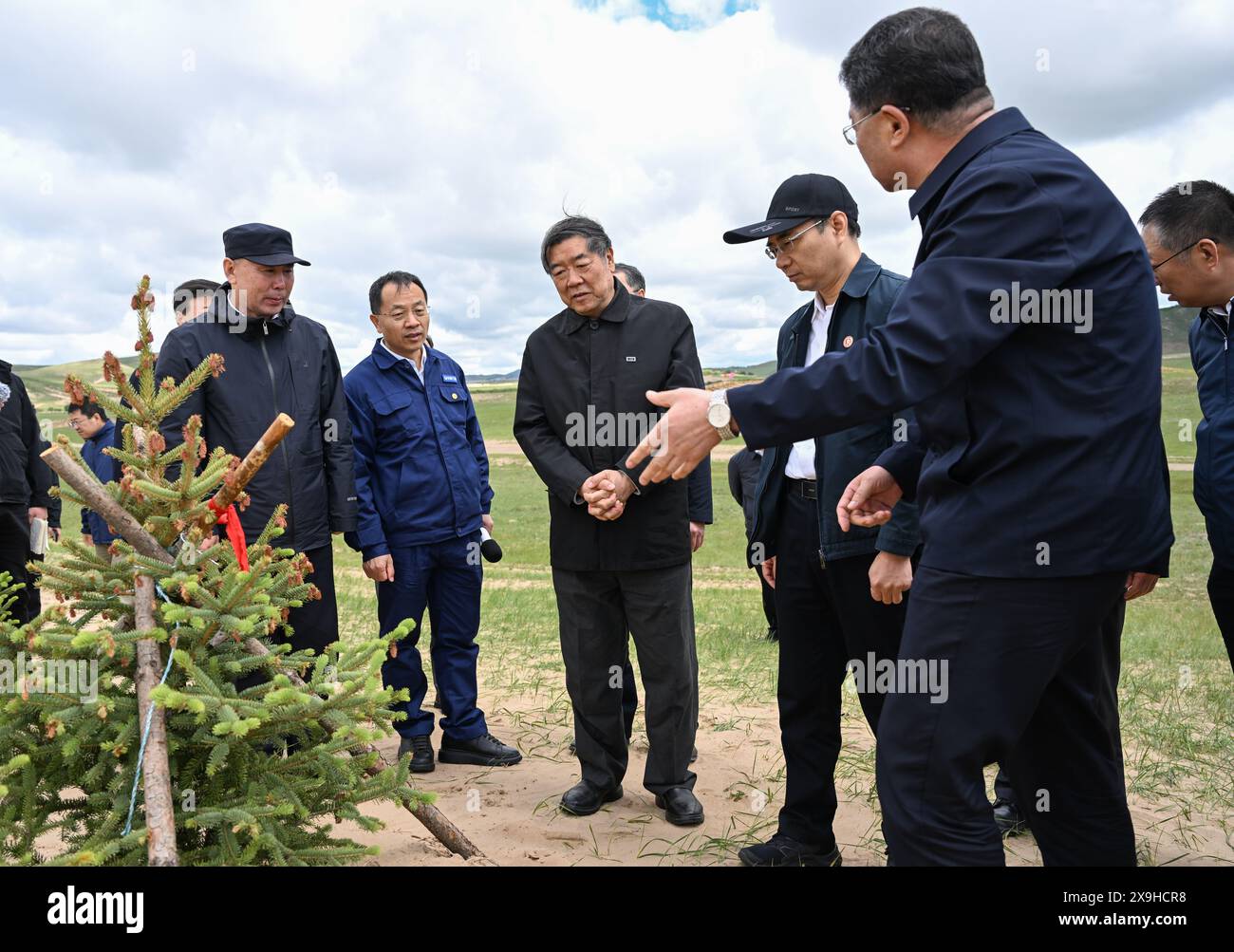 Shelterbelt program hi-res stock photography and images - Alamy