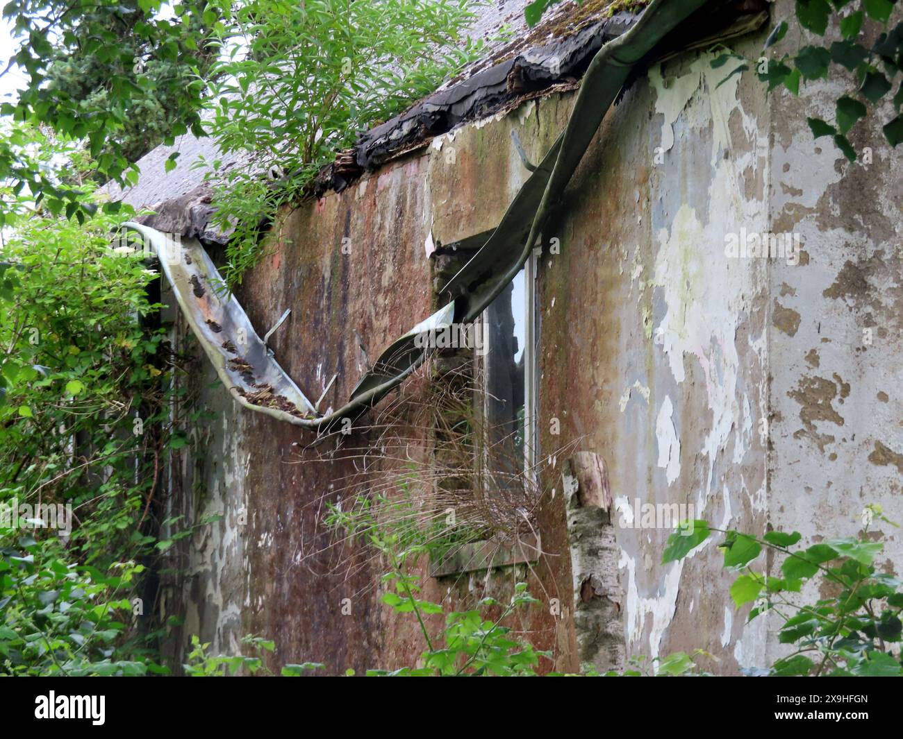 umfangreiche Zerfallsprozesse begleiten den Niedergang dieses Gebaeudes ...