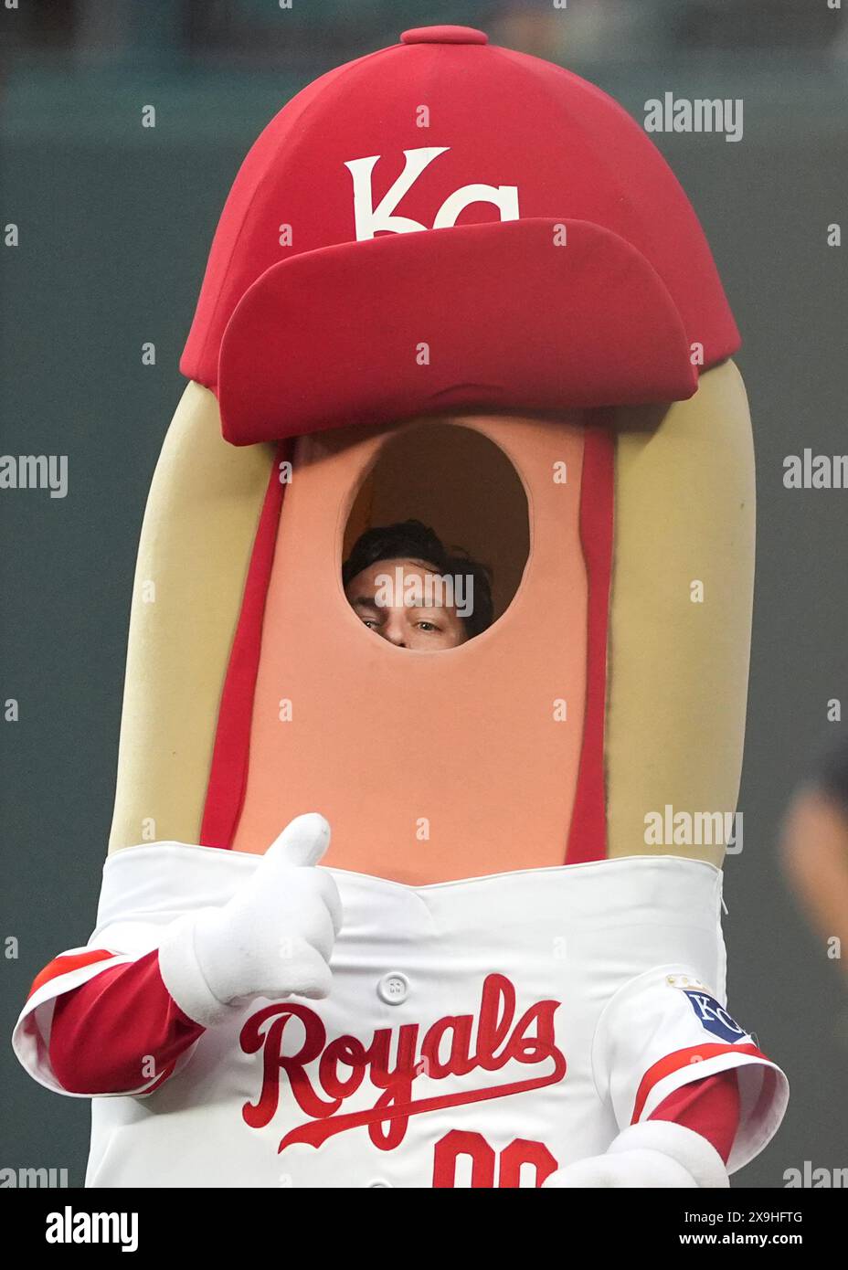 MAY 31, 2024: Ketchup tries to keep an eye on the finish line at Kauffman Stadium Kansas City ...