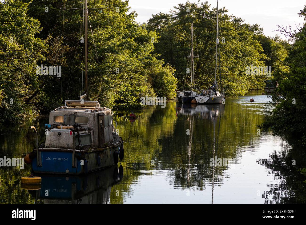 Lydney Harbour moorings. A regeneration project to bring the heritage ...