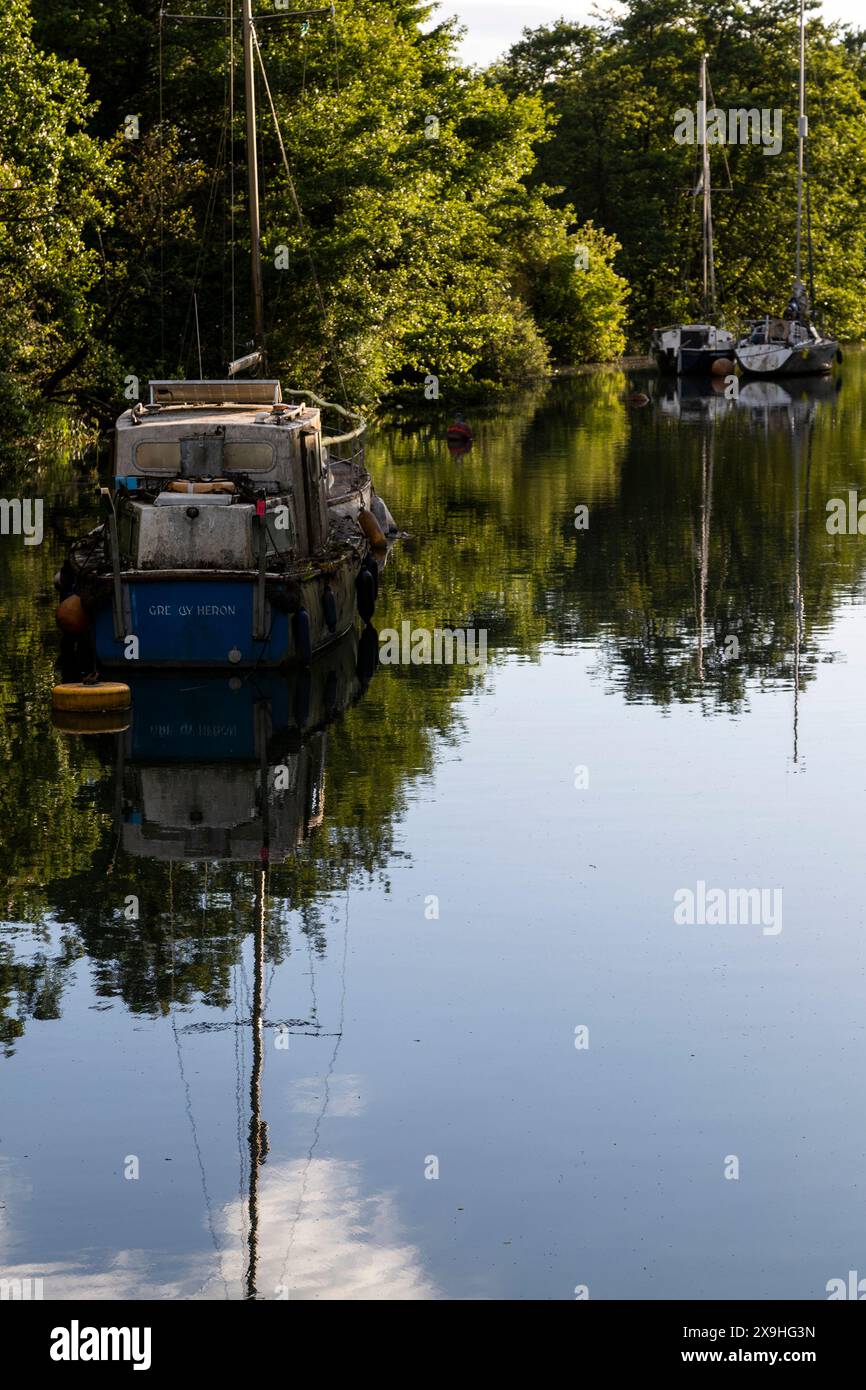 Lydney Harbour moorings. A regeneration project to bring the heritage ...