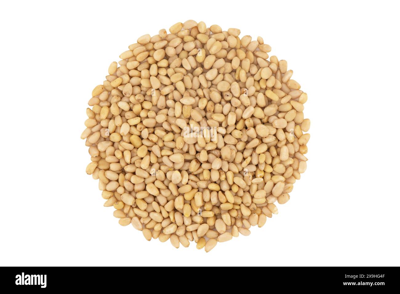 Cedar nuts isolated on white background. Pine nuts isolated. Top view ...