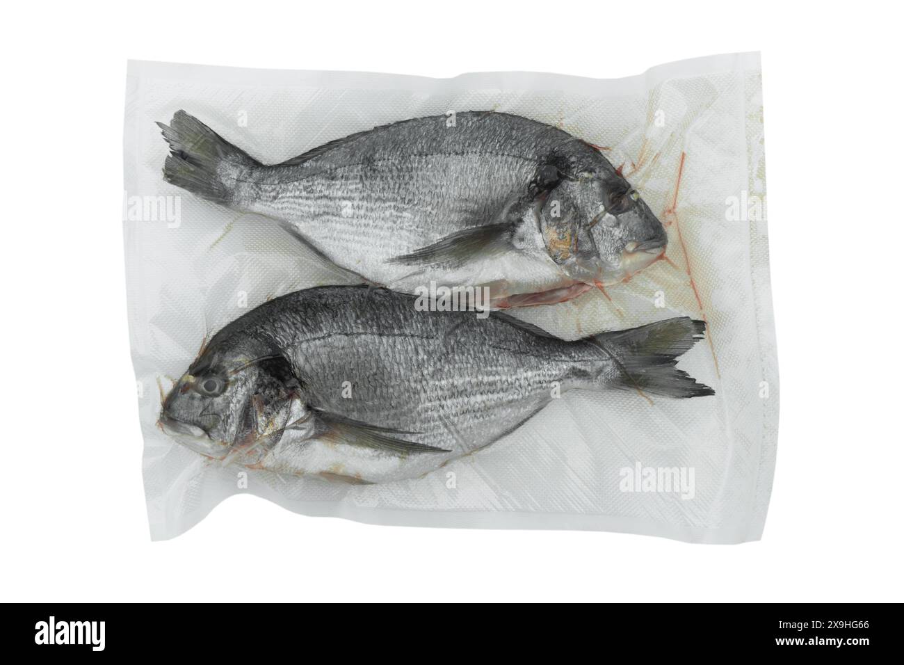 Fresh dorado fish in vacuum package isolated on white background ...