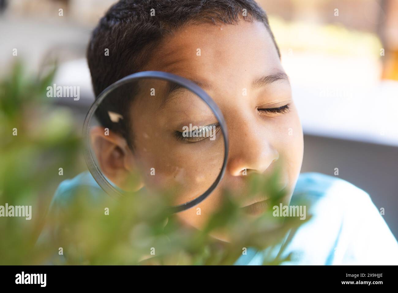 Closely study hi-res stock photography and images - Alamy