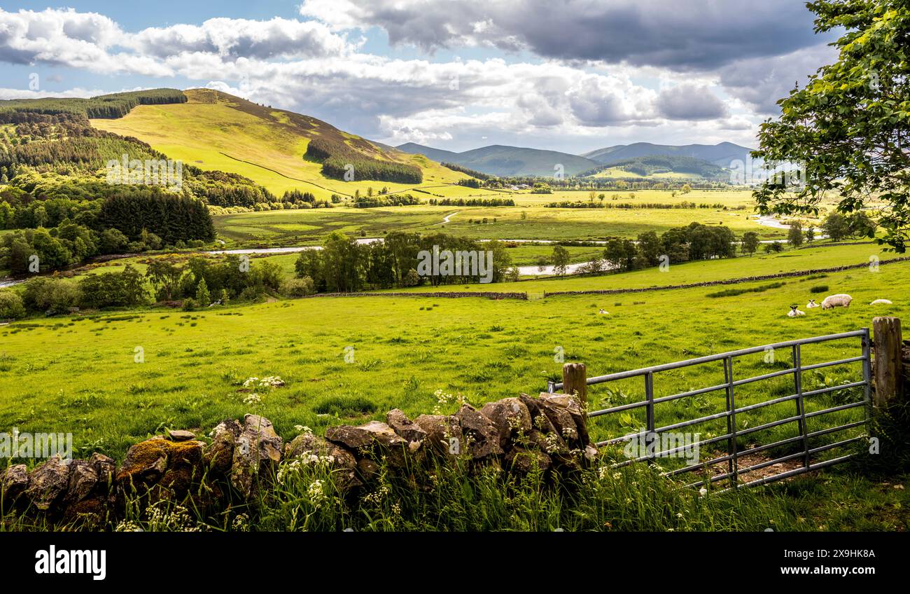 The Tweed Valley near Broughton in the Scottish Borders Stock Photo - Alamy
