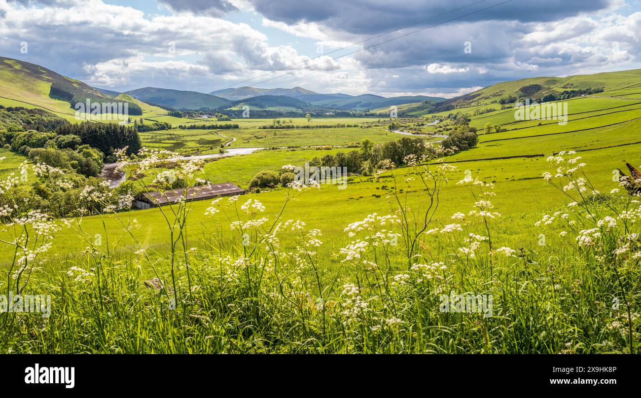 The Tweed Valley near Broughton in the Scottish Borders Stock Photo - Alamy