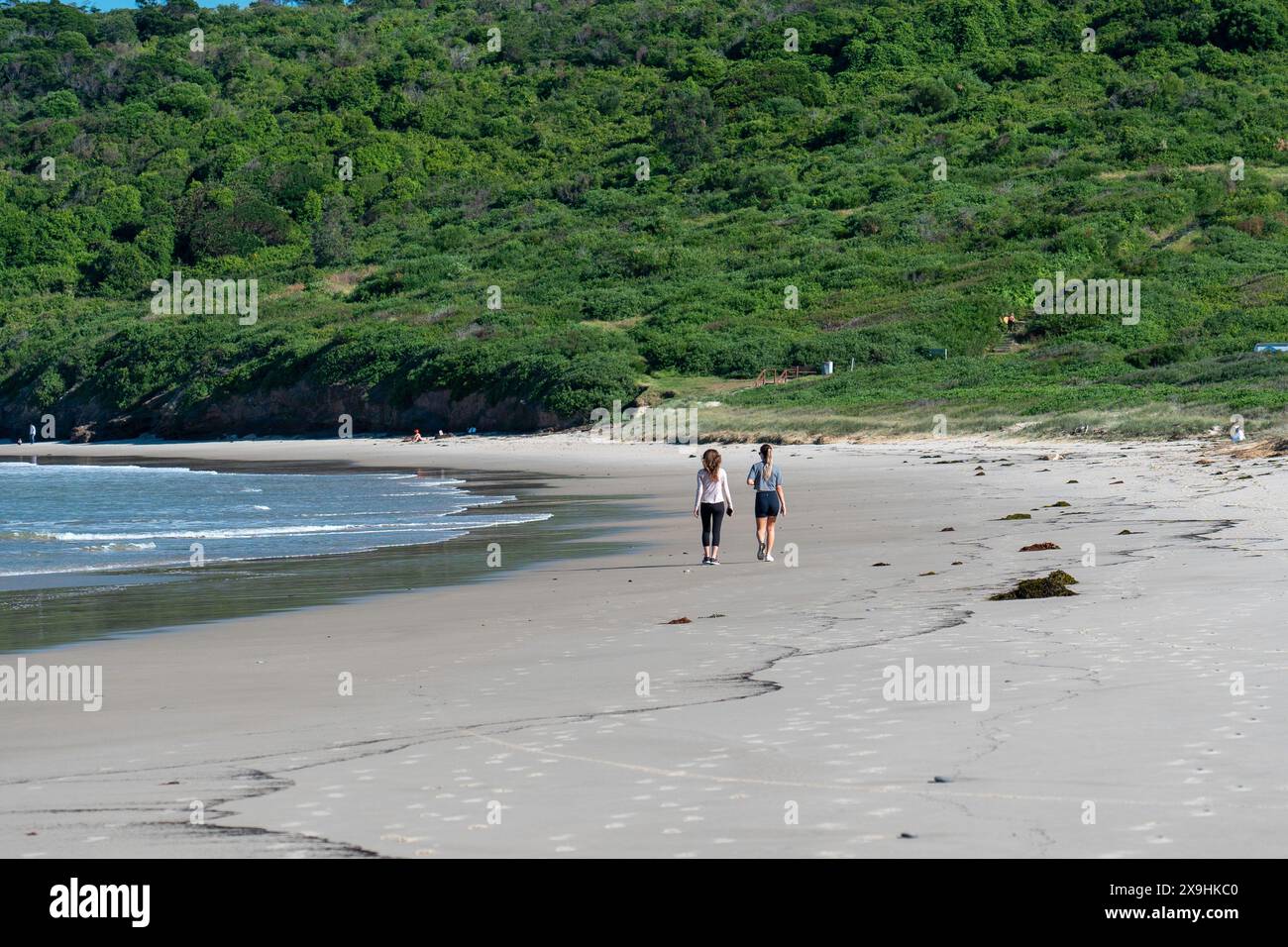 Two ladies from behind walking along an empty beach Stock Photo - Alamy