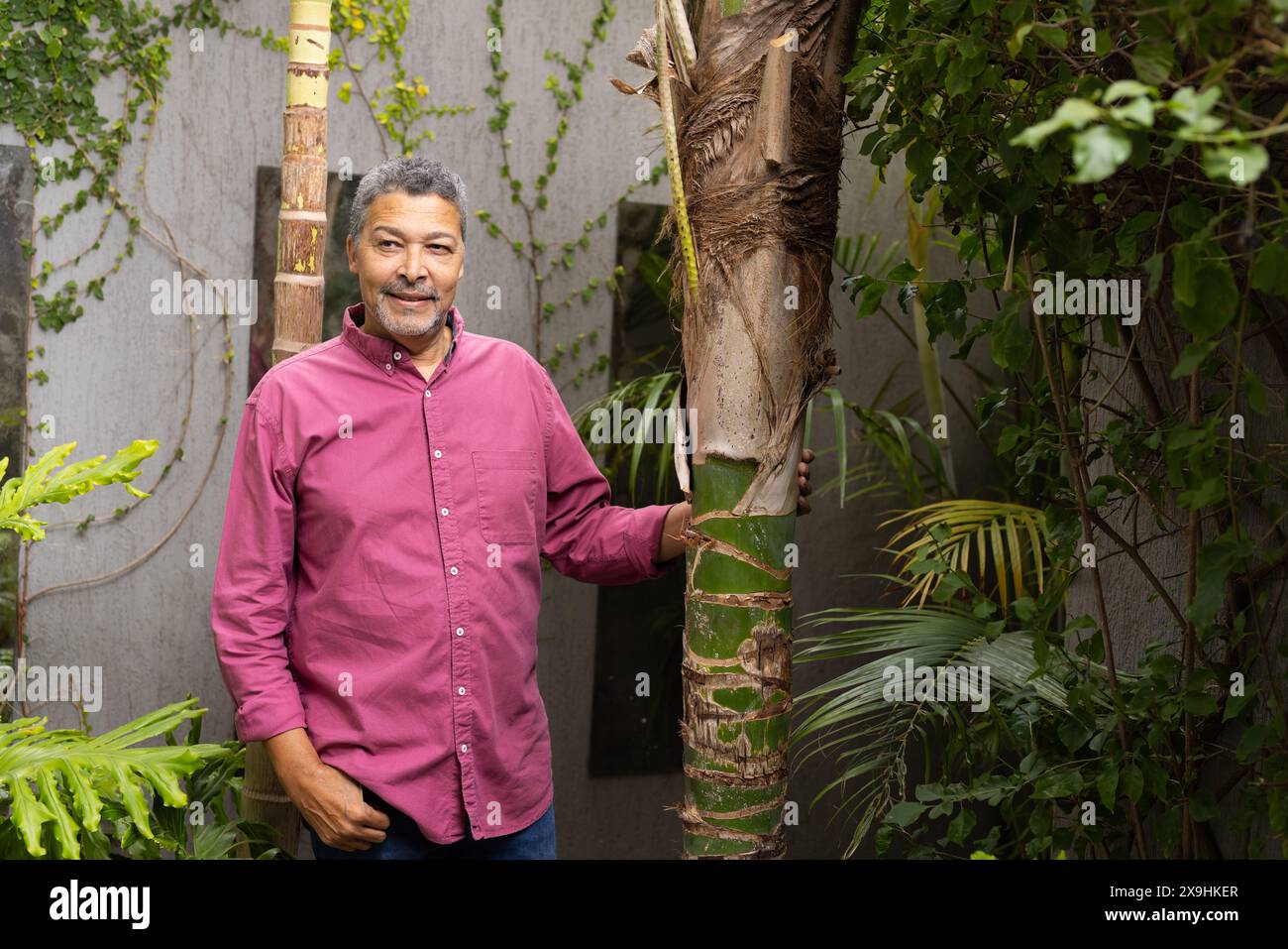 Outdoors, biracial senior male standing in lush garden, touching tree ...