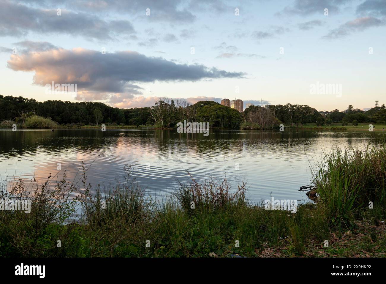 Sunset reflections over a pond in Centennial Park in Sydney Australia ...