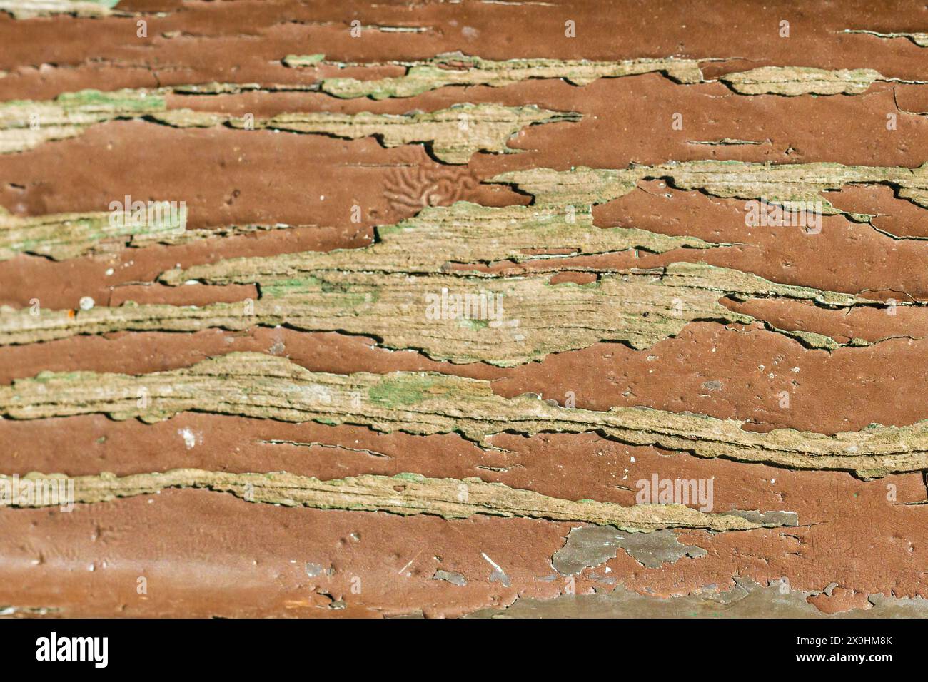 old peeling paint on a wood Stock Photo - Alamy