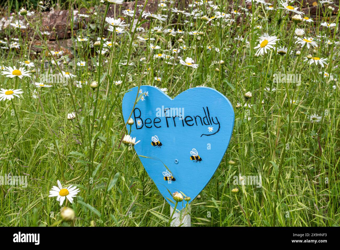Heart shaped bee friendly sign hi-res stock photography and images - Alamy