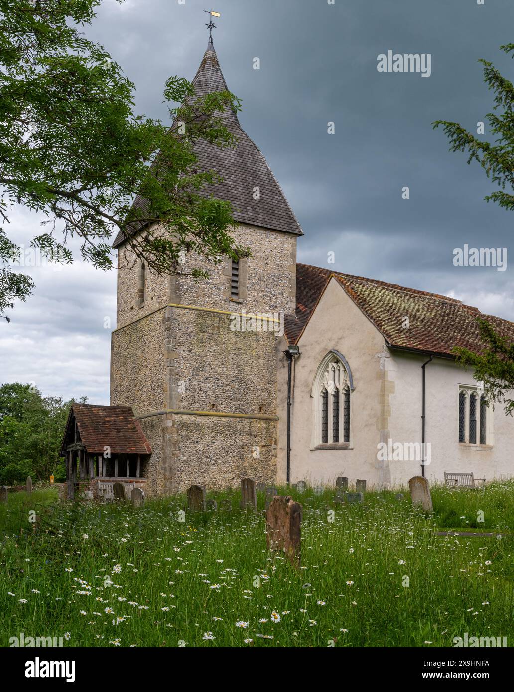 St Marys Church with wildflowers in the churchyard, West Horsley ...