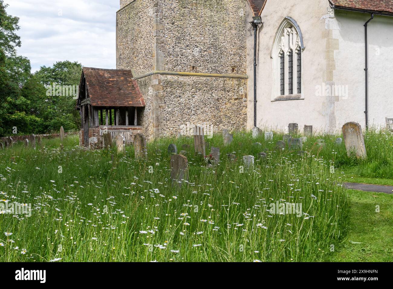 St mary’s church west horsley hi-res stock photography and images - Alamy