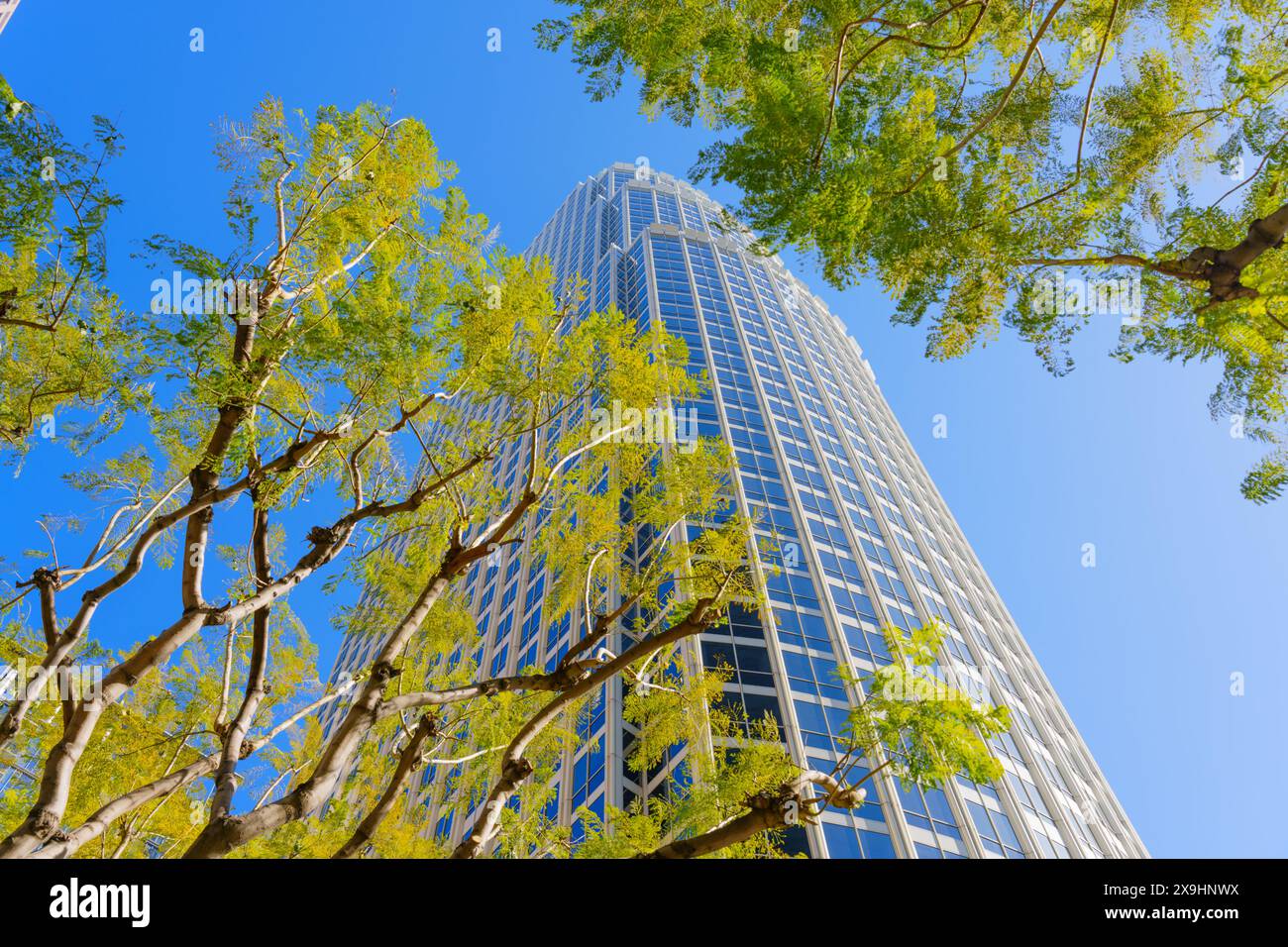 Tall office building with a glass facade in downtown Los Angeles seen ...