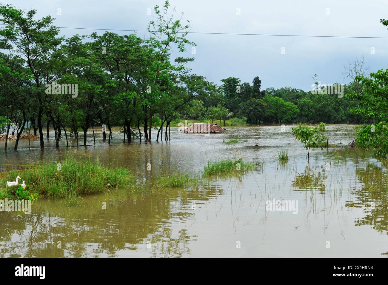 Sylhet, Bangladesh. 30th May 2024. A submerged house in the Rangpani ...