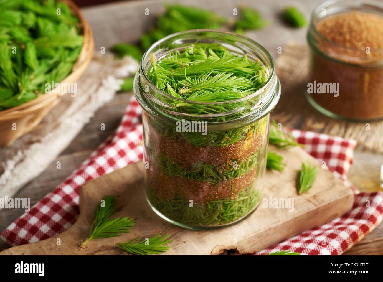 Preparation of homemade herbal syrup from fresh young spruce tips and ...