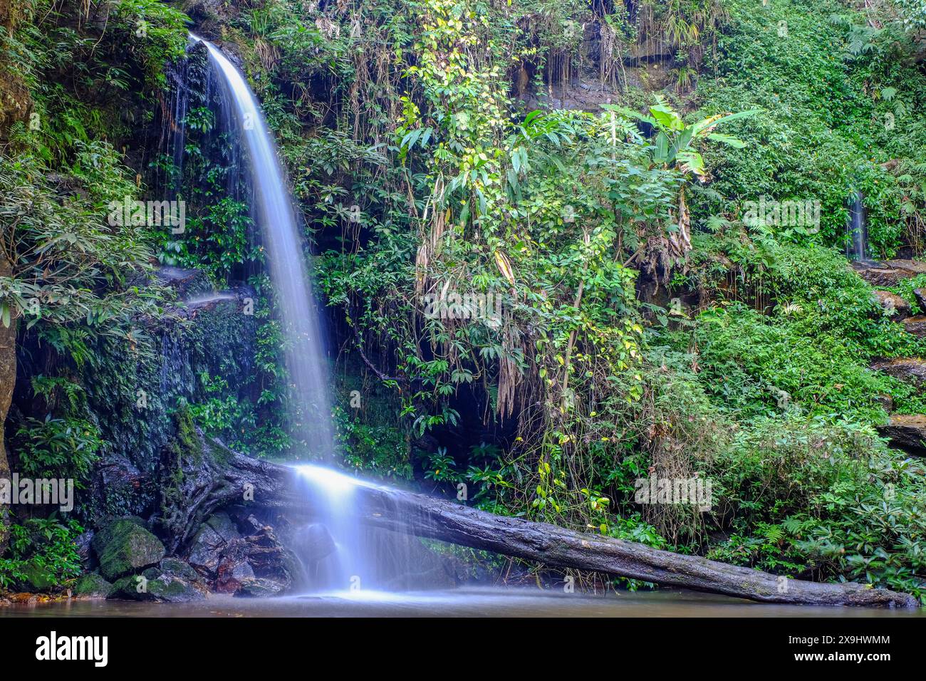 Curved waterfall hi-res stock photography and images - Alamy