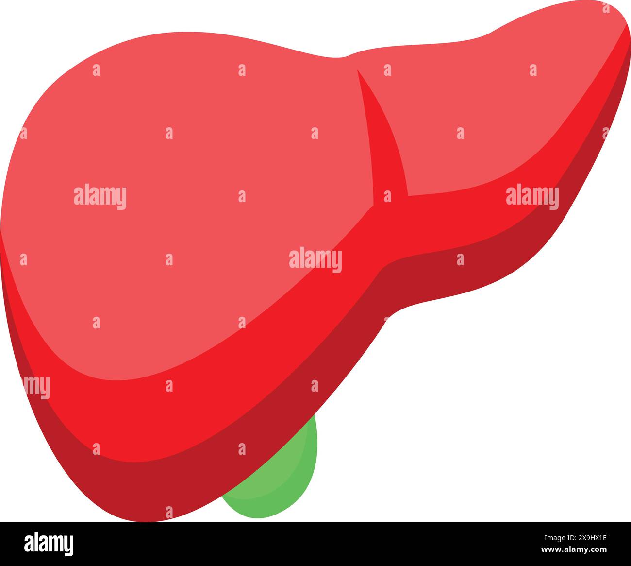Colorful and vibrant cartoon liver illustration depicting the ...