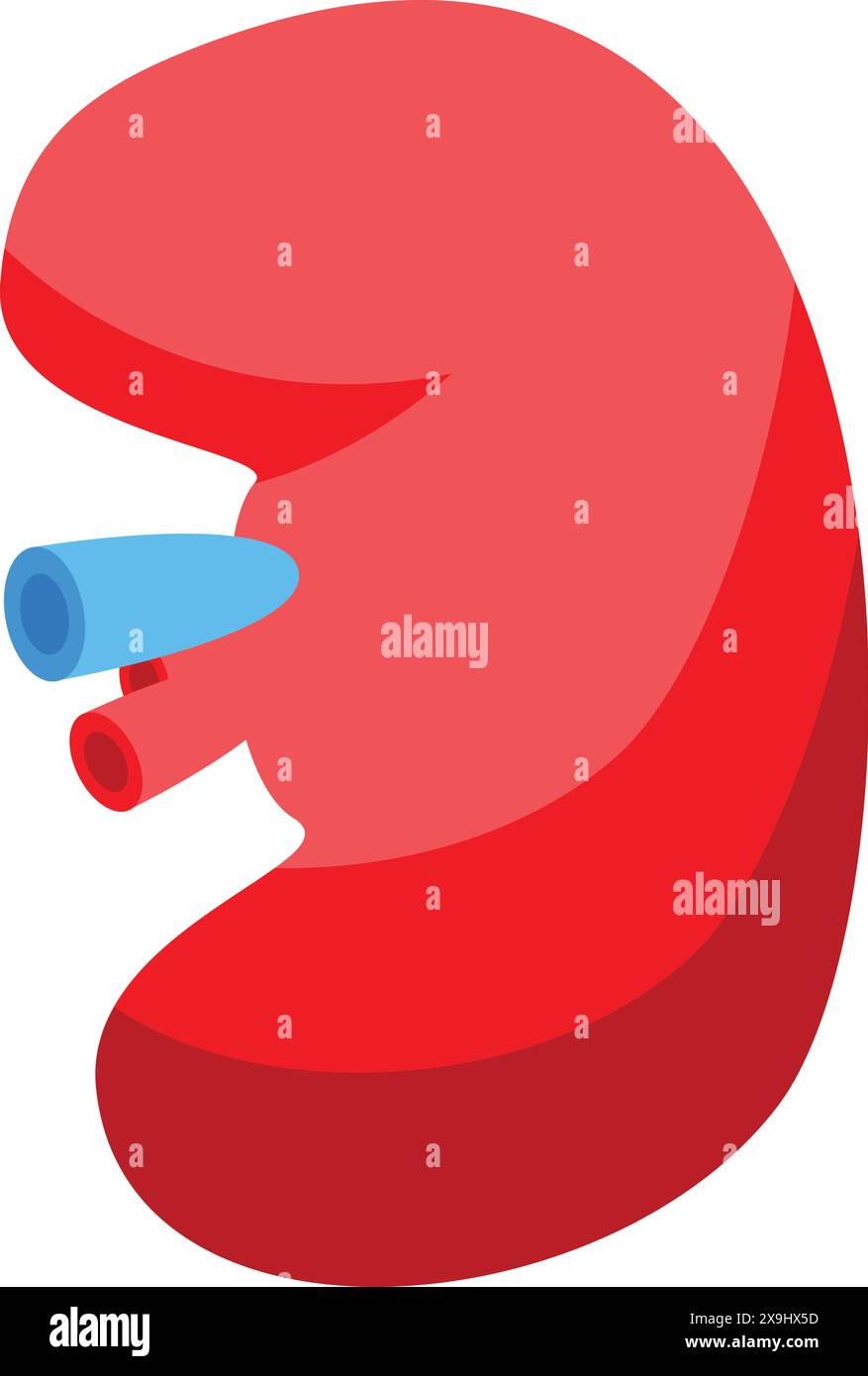 Vibrant cartoon illustration of a red boxing glove with a cheerful ...