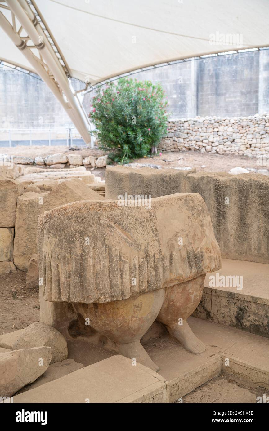 Tarxien and hagar malta hi-res stock photography and images - Alamy Tarxien and hagar malta hi-res stock photography and images - Alamy