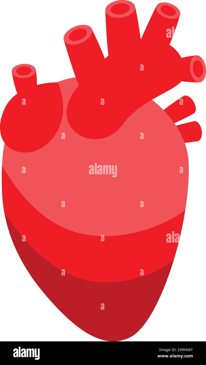 Simplified vector illustration of a red human heart, suitable for ...