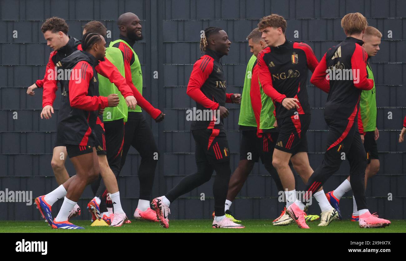 Belgium's Romelu Lukaku, Belgium's Jeremy Doku and Belgium's Arne ...