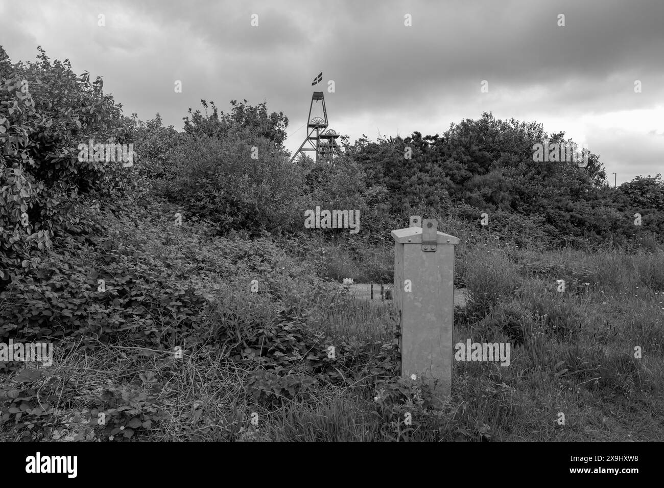 HEARTLANDS POOL CAMBORNE WORLD HERITAGE SITE MINING ENGINE HOUSE Stock ...