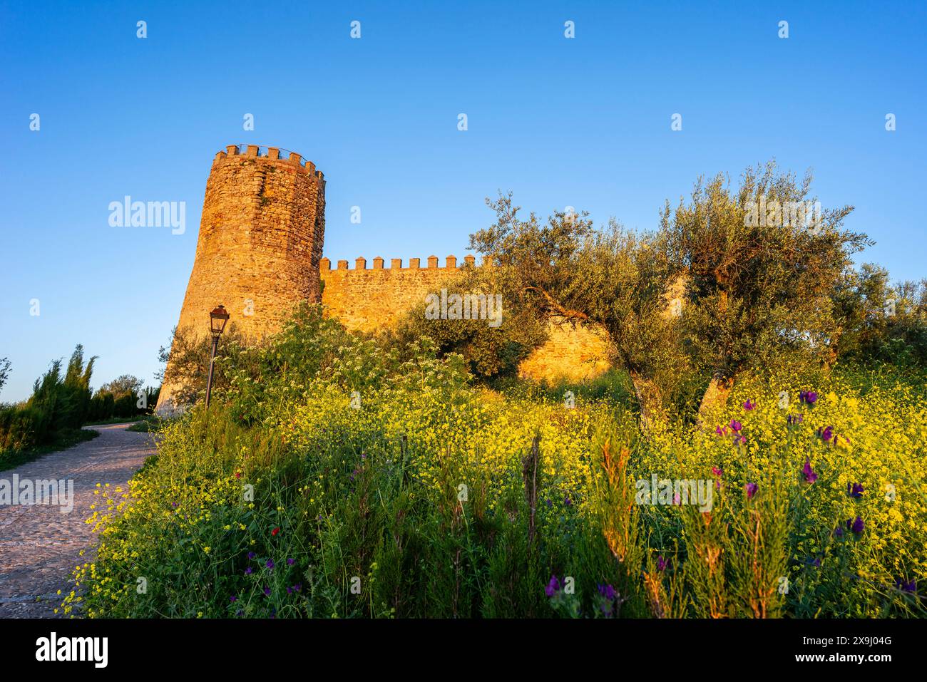 Castle of Arab origin, before 1392, Alanís, Sierra Morena, Sierra Norte ...