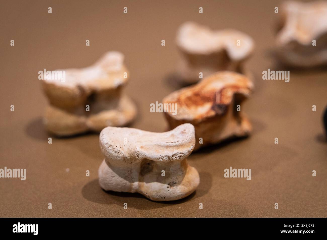 bone boards used for playing, Necropolis of Piquía, Arjona, 5th-1st ...
