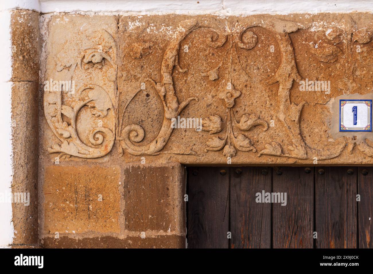 vegetal relief on the façade of a stately house, Alanís, Sierra Morena ...